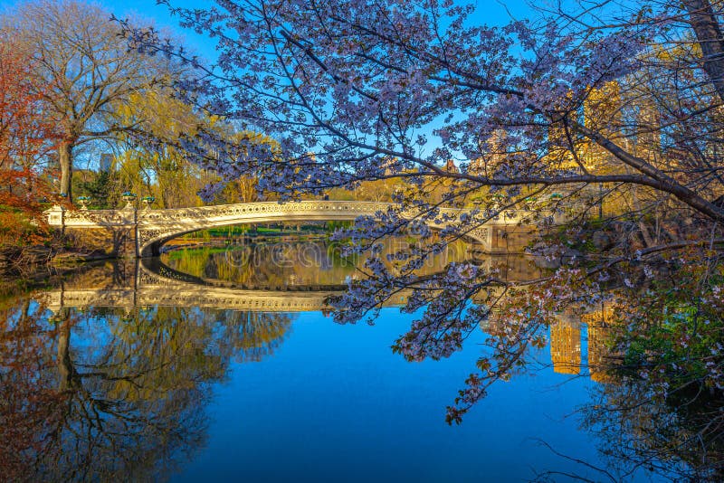 Bow bridge in late spring stock photo. Image of nature - 221018436