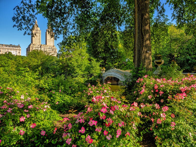 Bow bridge in late spring stock image. Image of york - 280115665