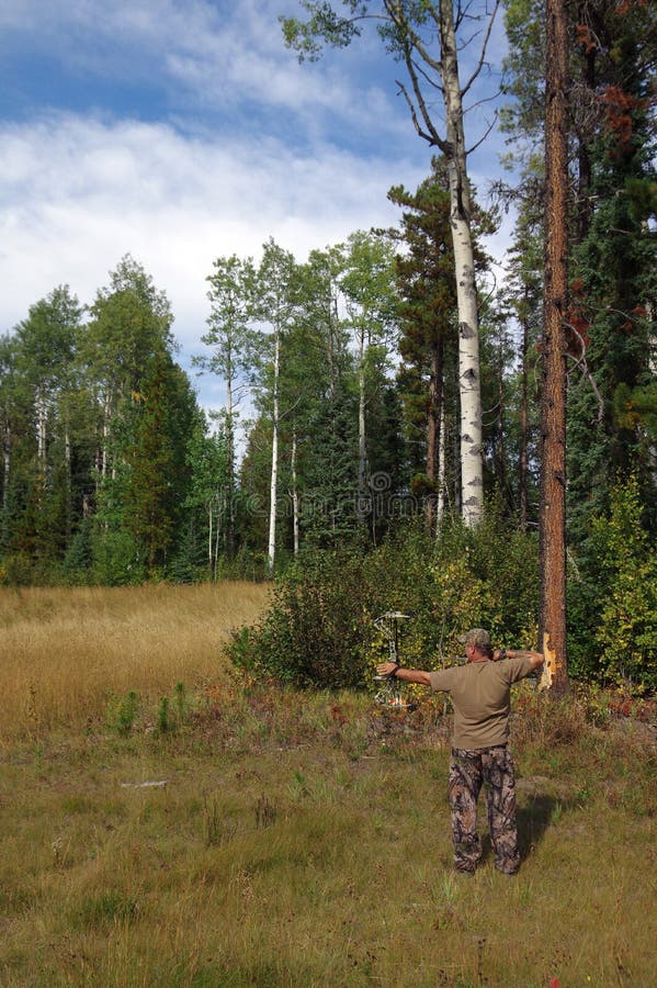 Bow Hunter stock photo. Image of meadow, outdoorsman - 44704578