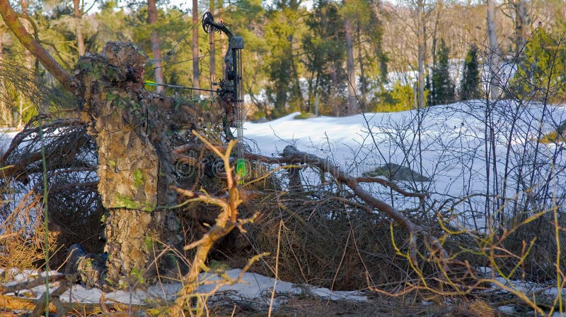 Bow hunter sunset stock photo. Image of adult, carnivore - 8639890