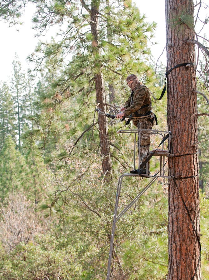 Bow hunter in tree stock image. Image of extreme, handsome - 8639823