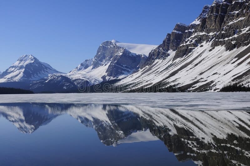Bow lake. stock photo. Image of glacier, rest, coast - 24202522