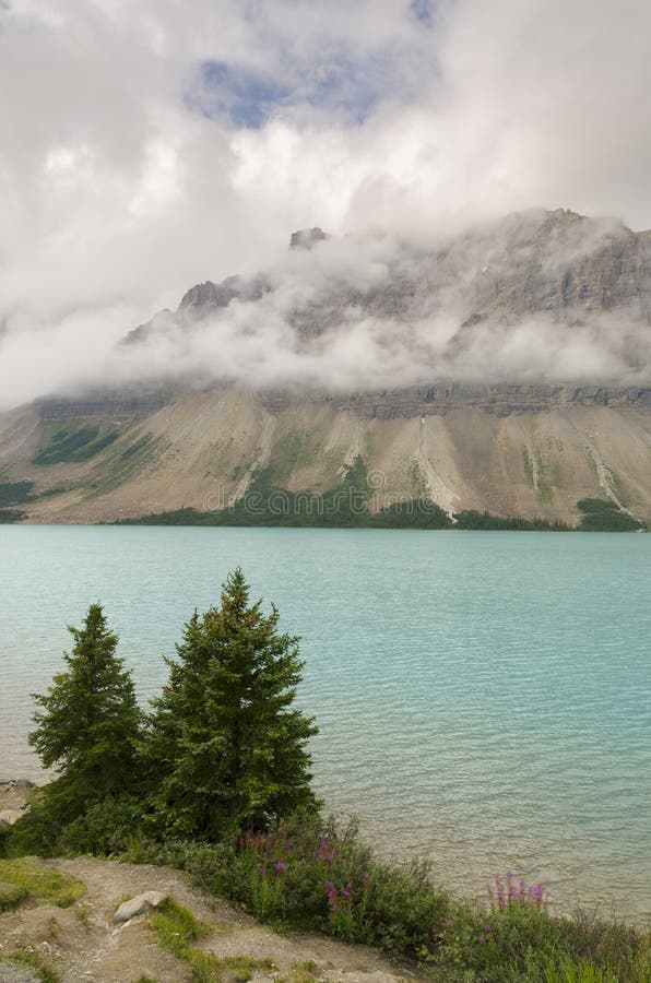 Bow Lake in Canada stock image. Image of blue, park - 121314005
