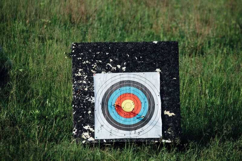 Target grass field stock image. Image of field, backdrop - 19788237
