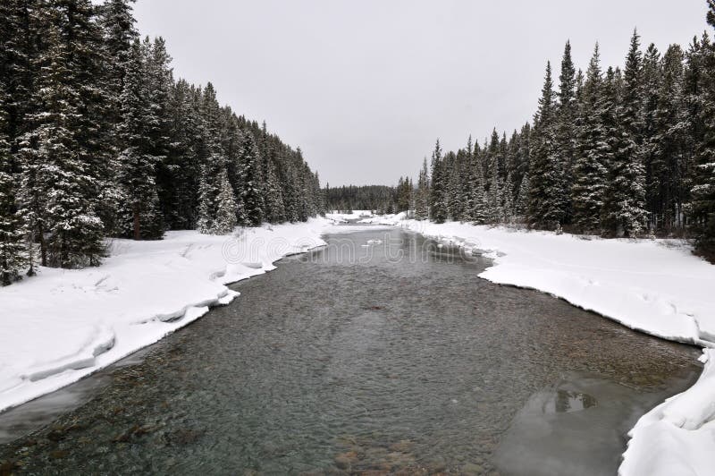 Bow River stock photo. Image of national, winter, evergreens - 5026400