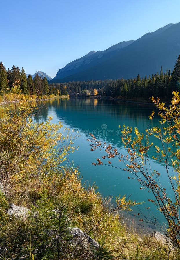 Bow River, Banff Mountains 2-4 Stock Image - Image of ecology, canoe ...