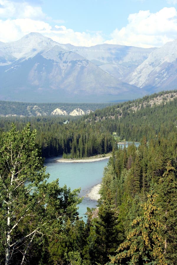 Bow River In Banff National Park, Alberta, Canada Picture. Image: 9015797