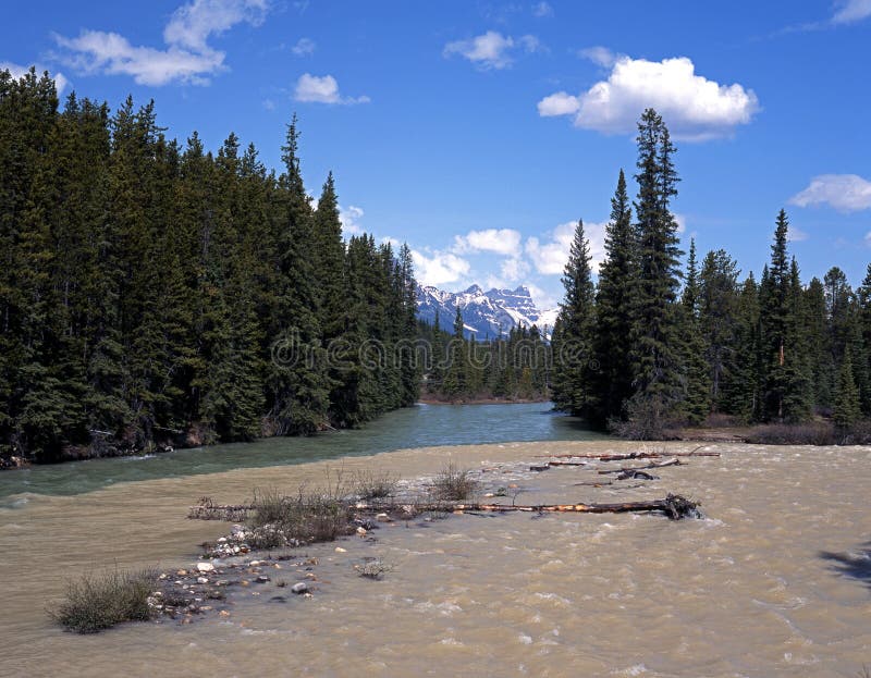 Bow River, Banff National Park, Canada. Stock Photo - Image of river ...