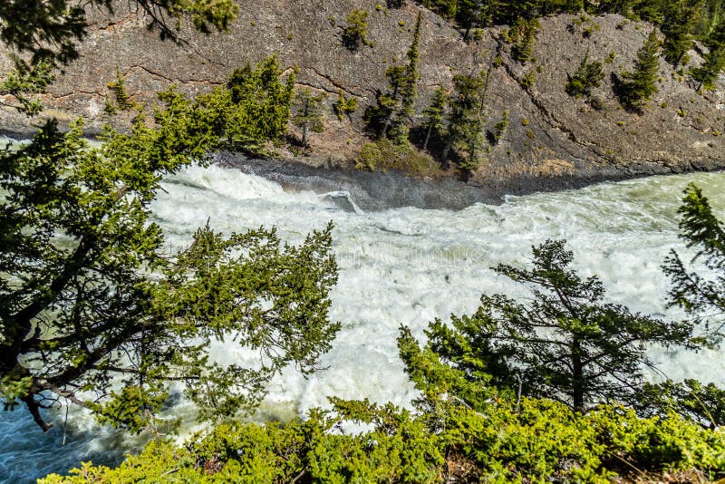 The Bow River through Banff National Park Stock Photo - Image of bank ...