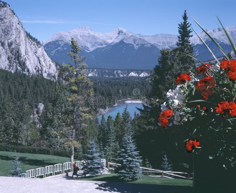 Bow River Valley Banff Alberta Canada Stock Photo - Image of landscape ...