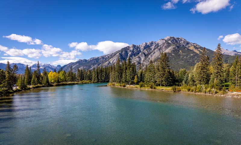 Bow River stock image. Image of peace, wilderness, peaceful - 231233191