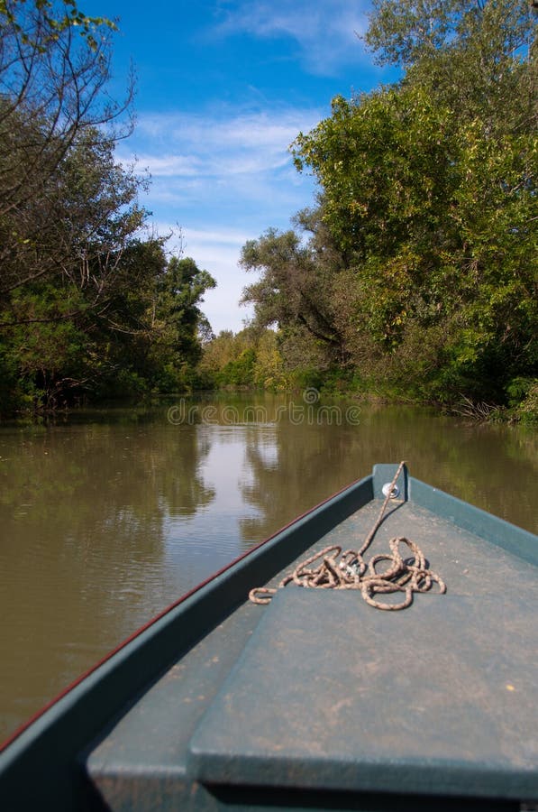 Bow of a Small Fishing Boat Sliding Over the Water Stock Image - Image ...