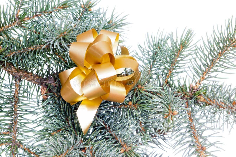 Bow on the tree stock photo. Image of ornament, season - 22200608