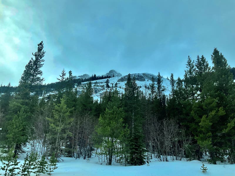 The Bow Valley at Its Finest Stock Photo - Image of scenic, glorified ...