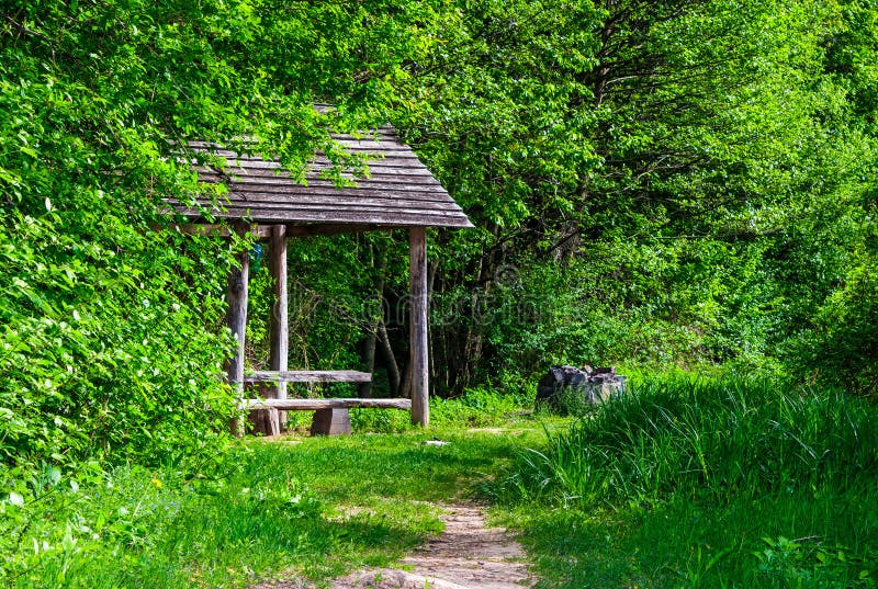 The bower in the forest stock photo. Image of green - 122031856