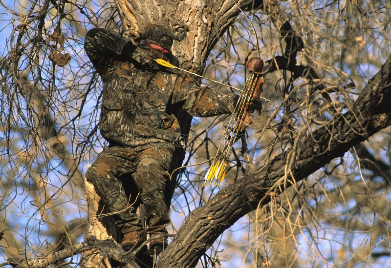 Bowhunter dans Treestand image stock. Image du chasse - 17748343