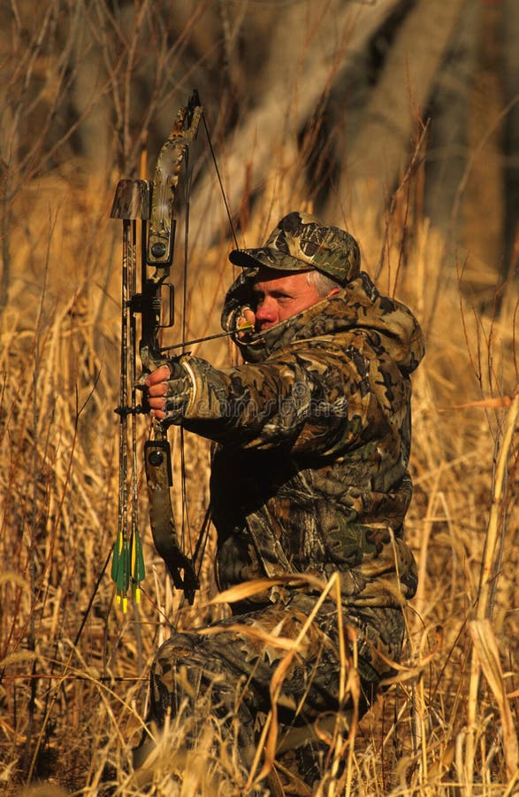 Bowhunter at Full Draw stock image. Image of bowhunter - 17748297