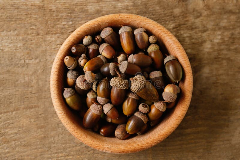 Bowl of Acorns on Wooden Table, Top View Stock Photo - Image of brown ...