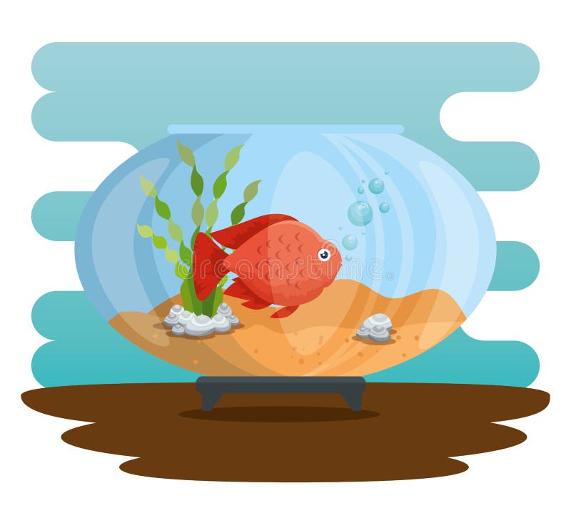 Bowl aquarium with fish stock vector. Illustration of element - 111708018