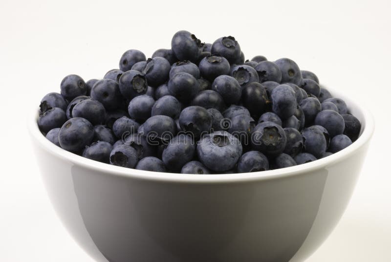 Bowl of Blueberries stock image. Image of blue, blueberries - 5577617