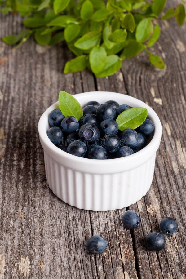 Bowl of blueberries stock image. Image of diet, gourmet - 67886539