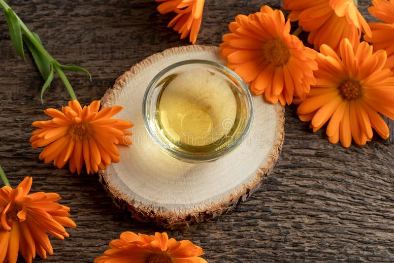 A Bowl of Calendula Essential Oil with Fresh Calendula Flowers Stock ...