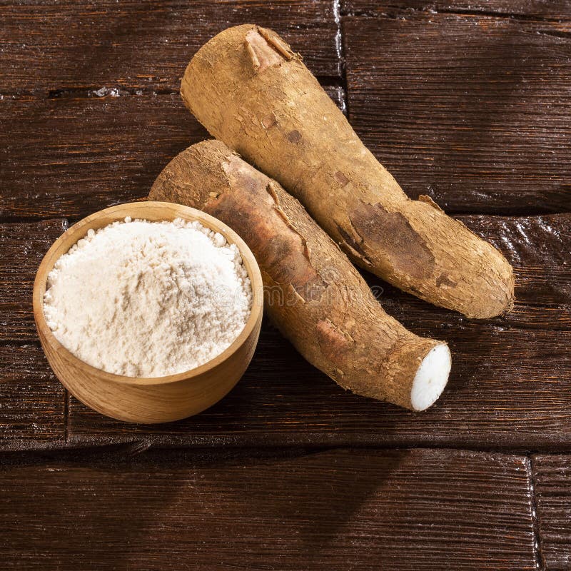 Bowl with Cassava Starch - Manihot Esculenta Stock Photo - Image of ...