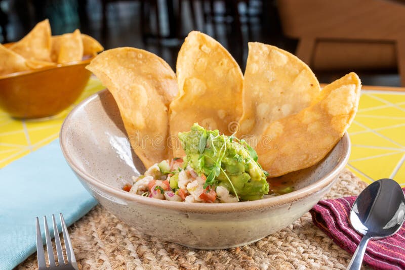 Bowl of Ceviche stock image. Image of ceviche, stainless - 124091151
