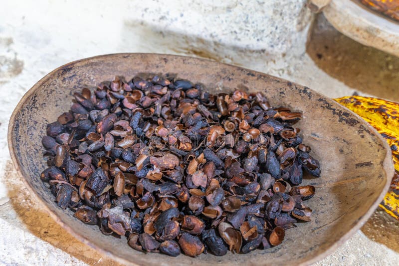 Bowl of Chocolate Cacao Husk To Make Tea Stock Photo - Image of ...