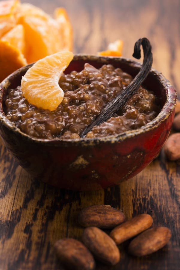 A Bowl of Chocolate Tapioca Pudding Stock Photo - Image of cones ...