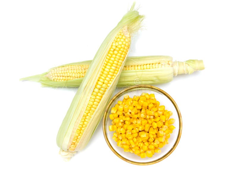 Bowl of corn and cobs from stock photo. Image of healthy - 56859062