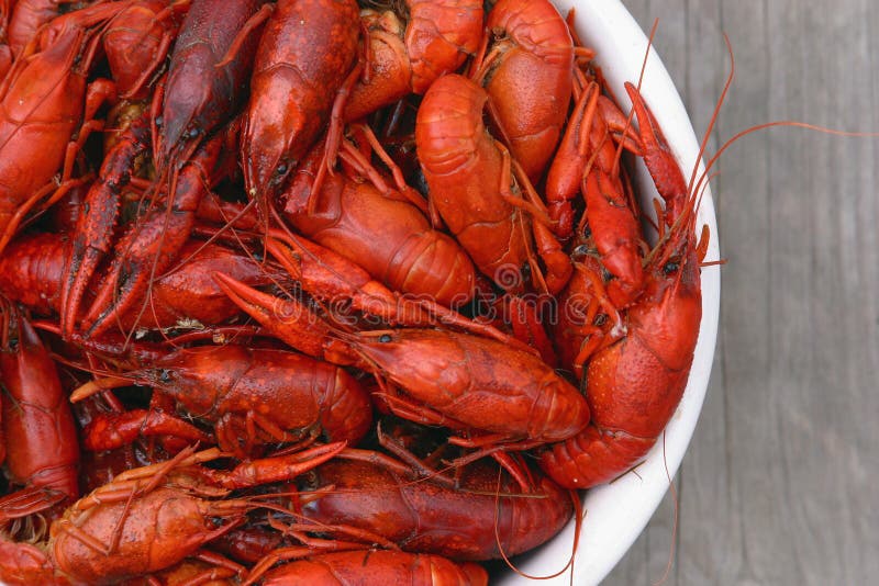 15,753 Crawfish Stock Photos - Free & Royalty-Free Stock Photos from ...