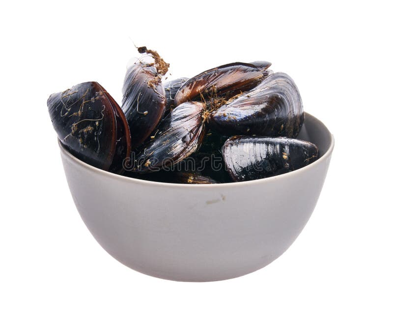 Bowl of Delicious Mussels Over White Isolated Background Stock Image ...