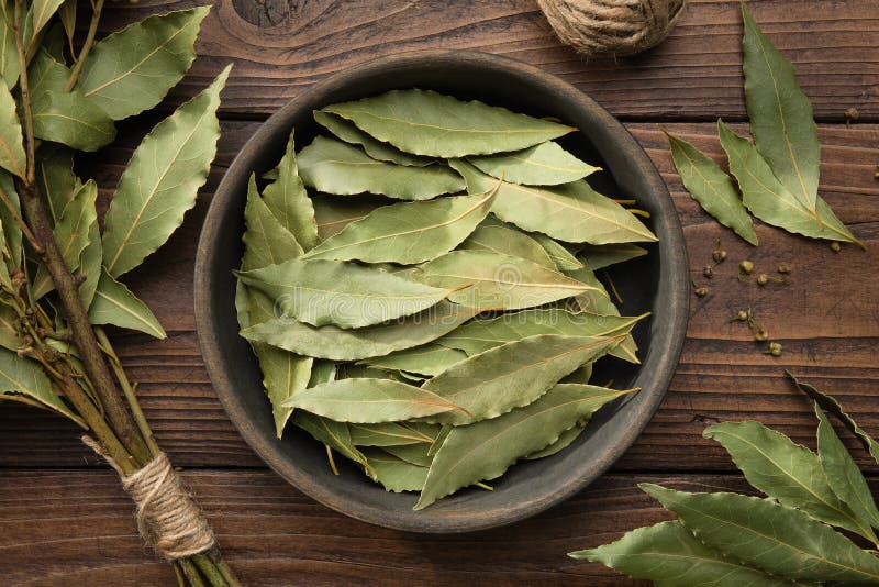 Bowl of Dried Laurel Leaves. Branch of Bay Leaves, Top View Stock Photo ... Bowl of Dried Laurel Leaves. Branch of Bay Leaves, Top View Stock Photo ...