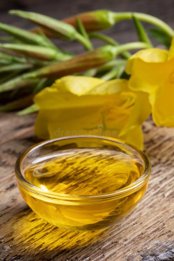 A Bowl of Evening Primrose Oil with Fresh Blooming Evening Primrose ...