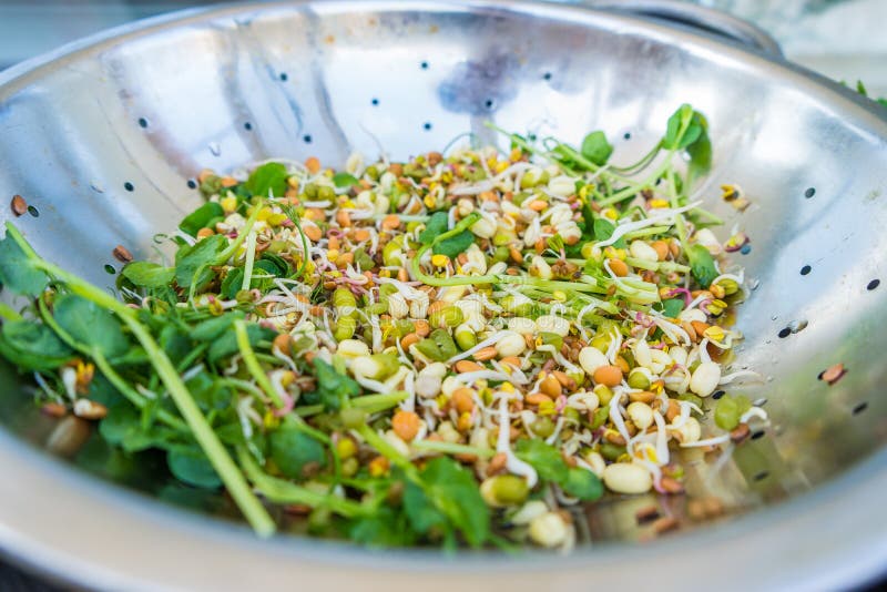 A bowl of food on a plate stock image. Image of meal - 180015267