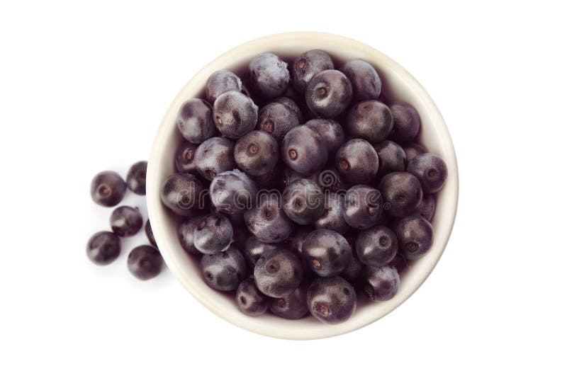 Bowl with Fresh Acai Berries Stock Photo - Image of berries ...