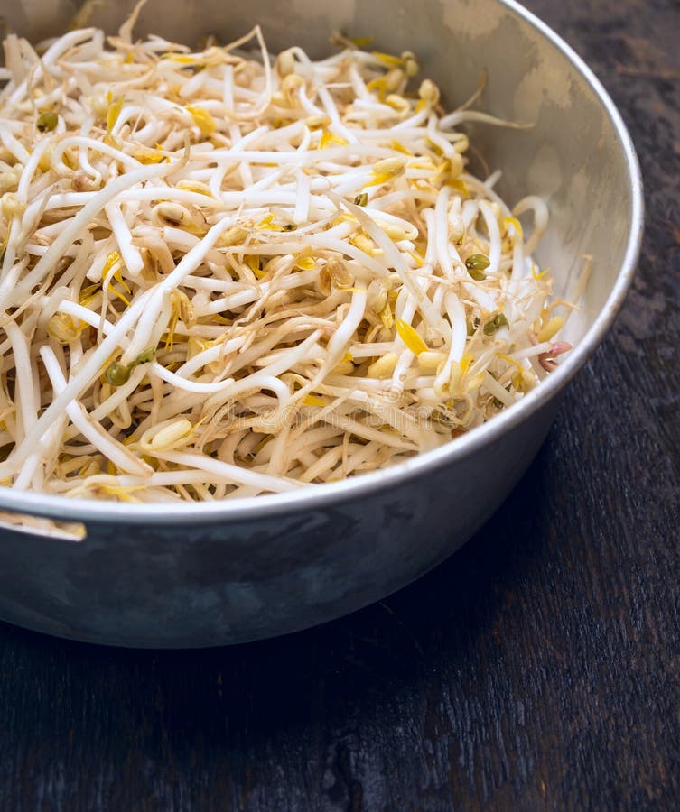 Fresh Bean Sprouts stock image. Image of asian, sprout - 2302303
