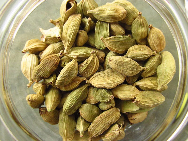 Organic texture: Cardamom stock image. Image of cardamom - 103255503