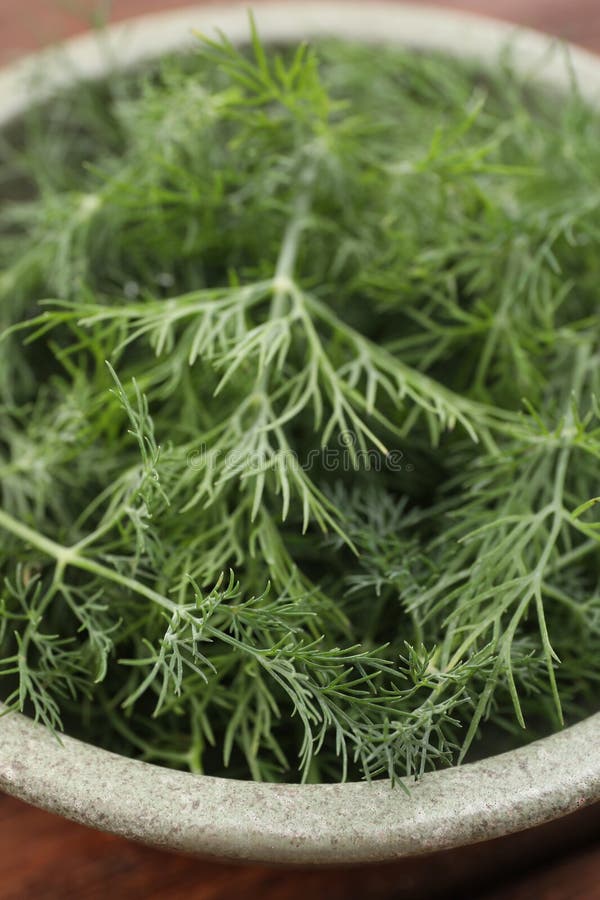 Bowl of Fresh Dill on Table, Closeup View Stock Photo - Image of color ...