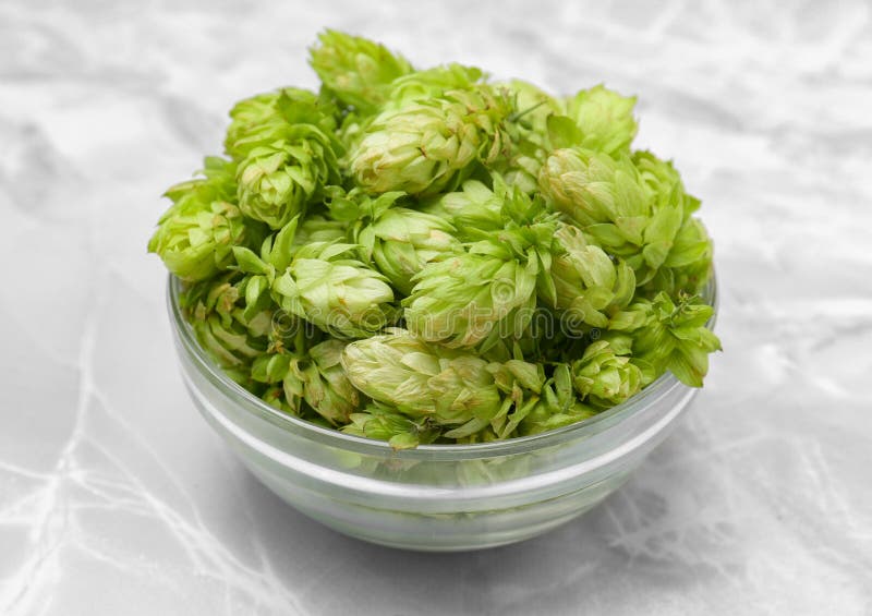 Bowl of Fresh Green Hops on Light Grey Marble Table, Closeup Stock ...