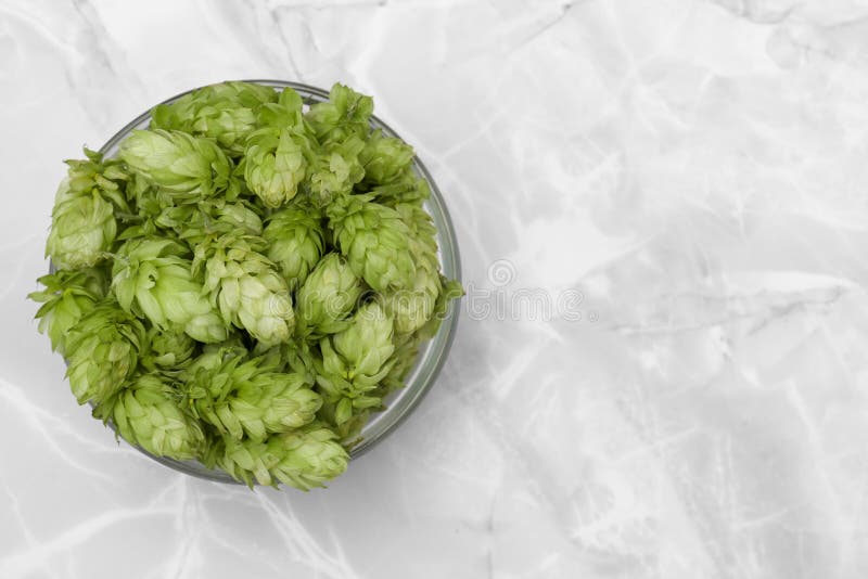Bowl of Fresh Green Hops on Light Grey Marble Table, Top View. Space ...