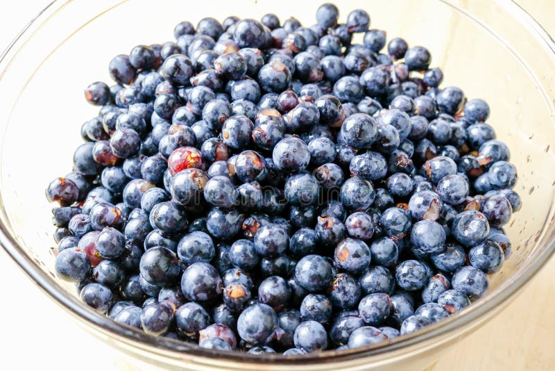 Homegrown Red Grapes stock image. Image of moving, harvesting - 176320051