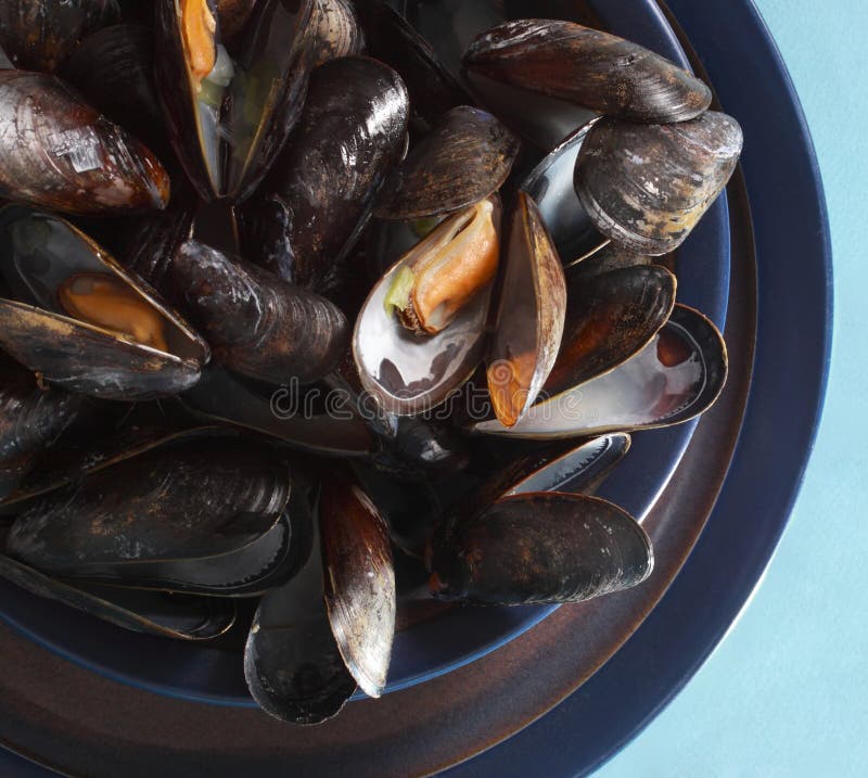 Bowl of fresh mussels stock image. Image of cooked, steamed - 26776541