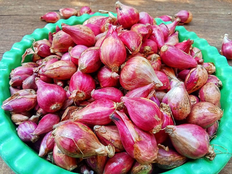 A bowl of fresh shallots stock photo. Image of isolated - 323323316