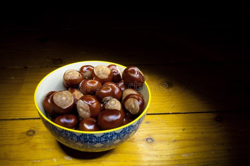 A bowl full of conkers stock image. Image of fruit, isolated - 110104033