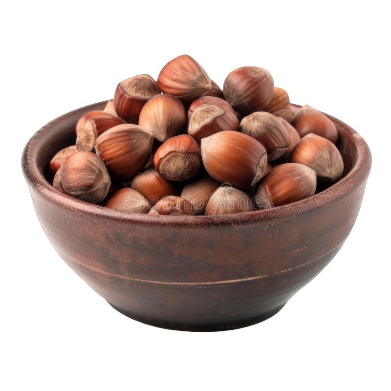 A Bowl Full of Hazelnut Kernels Stock Illustration - Illustration of ...