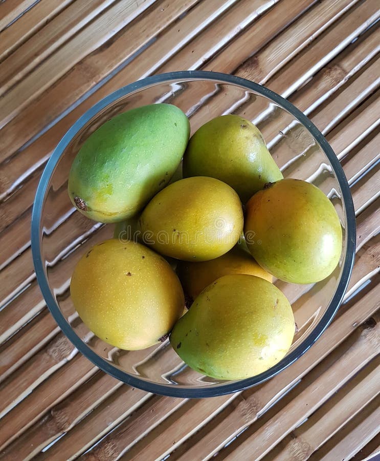 Bowl Full of Mango stock photo. Image of fruit, view - 93078888