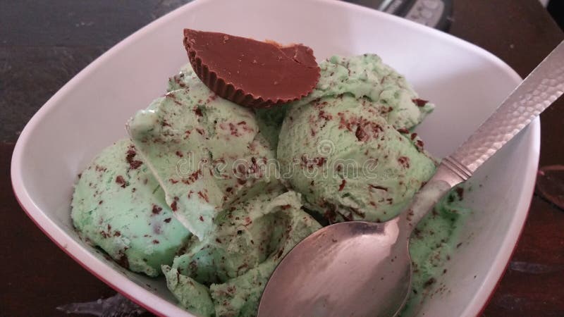 Bowl of Ice Cream stock image. Image of peppermint, bowl - 50399595