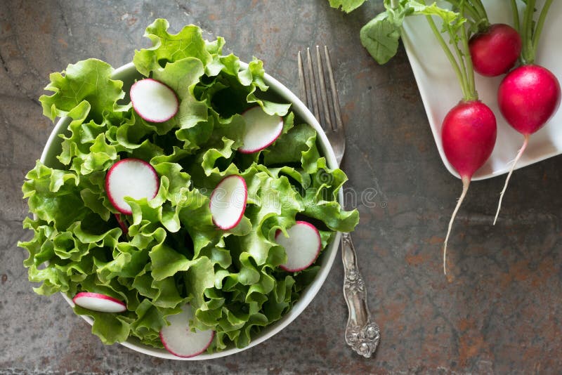 Leaf Lettuce and Radish Salad Stock Photo - Image of food, fresh: 99181584
